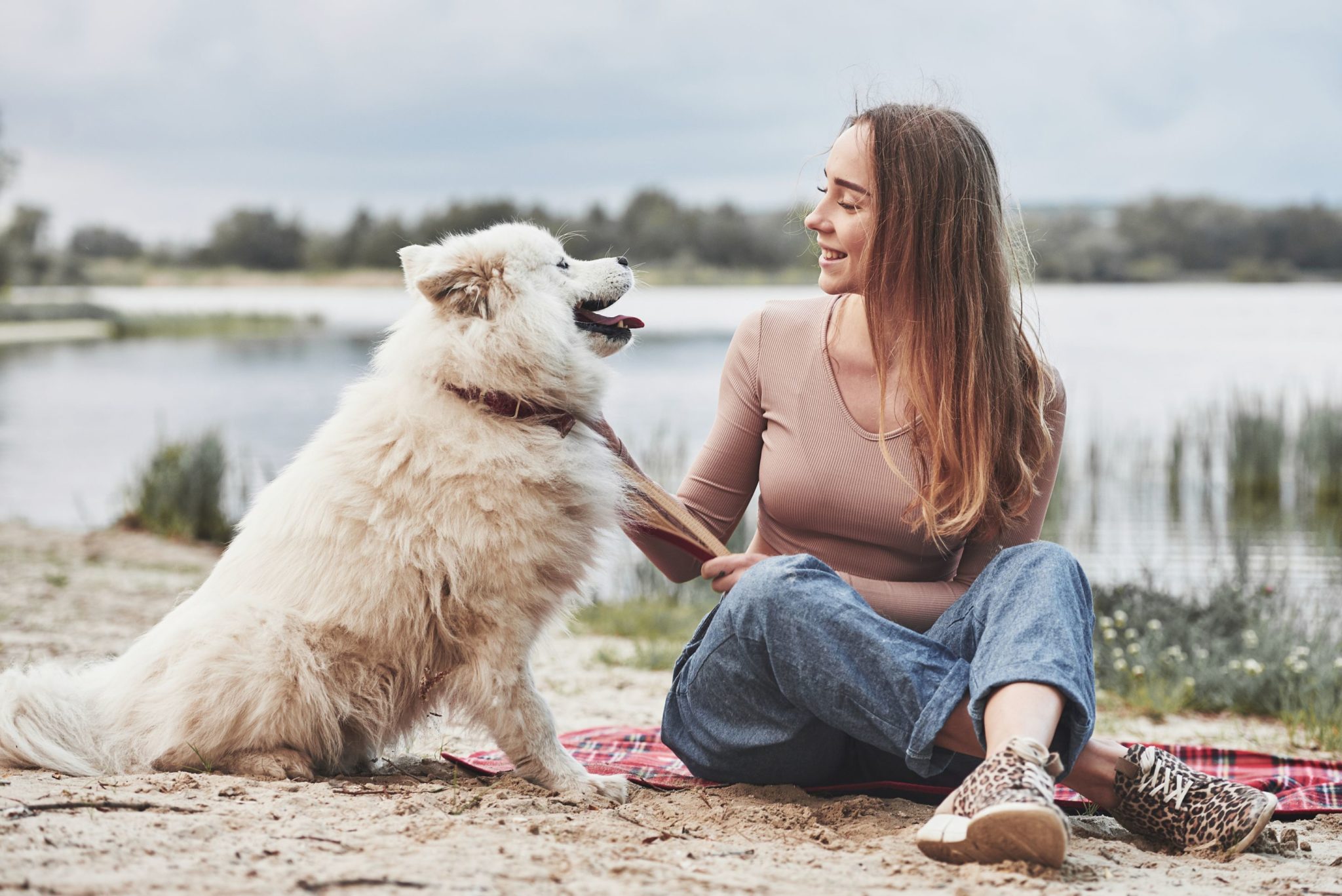 THC for Dogs: Is It Safe?