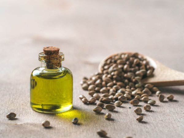 Our Guide to the Parts of a Hemp Plant